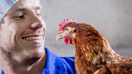 Hendrix Genetics Corporate - Accueil