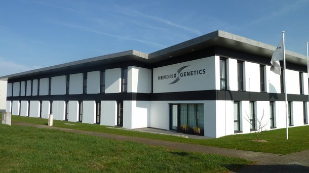 Hendrix Genetics Corporate - Contactez nous